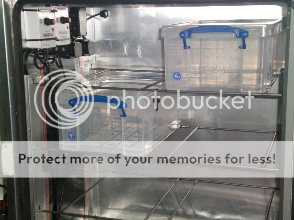 New incubator from PRO-RACKS | Reptile Forums