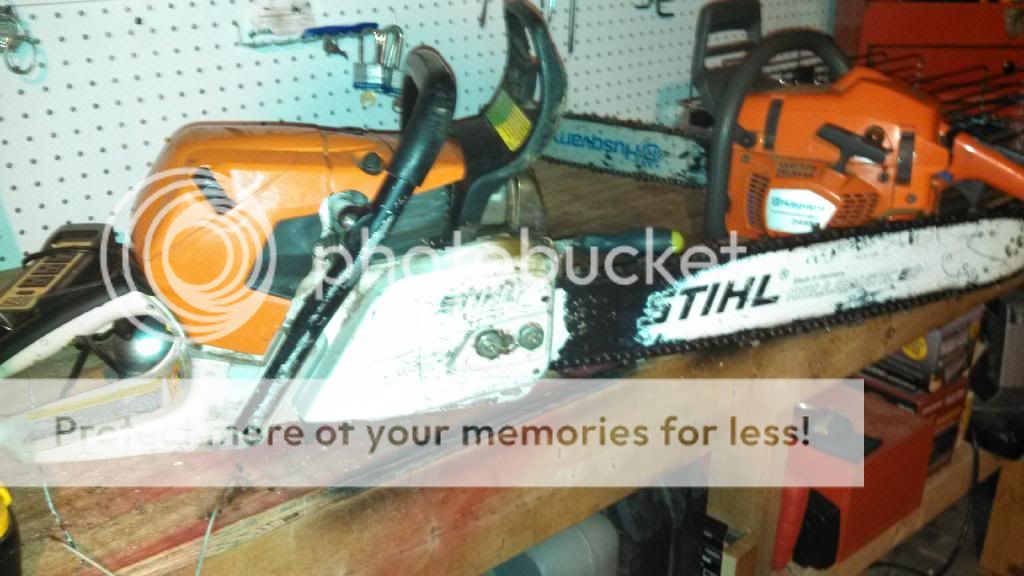 Stihl 441C vs C-M identification | Arborist, Chainsaw & Tree Work Forum